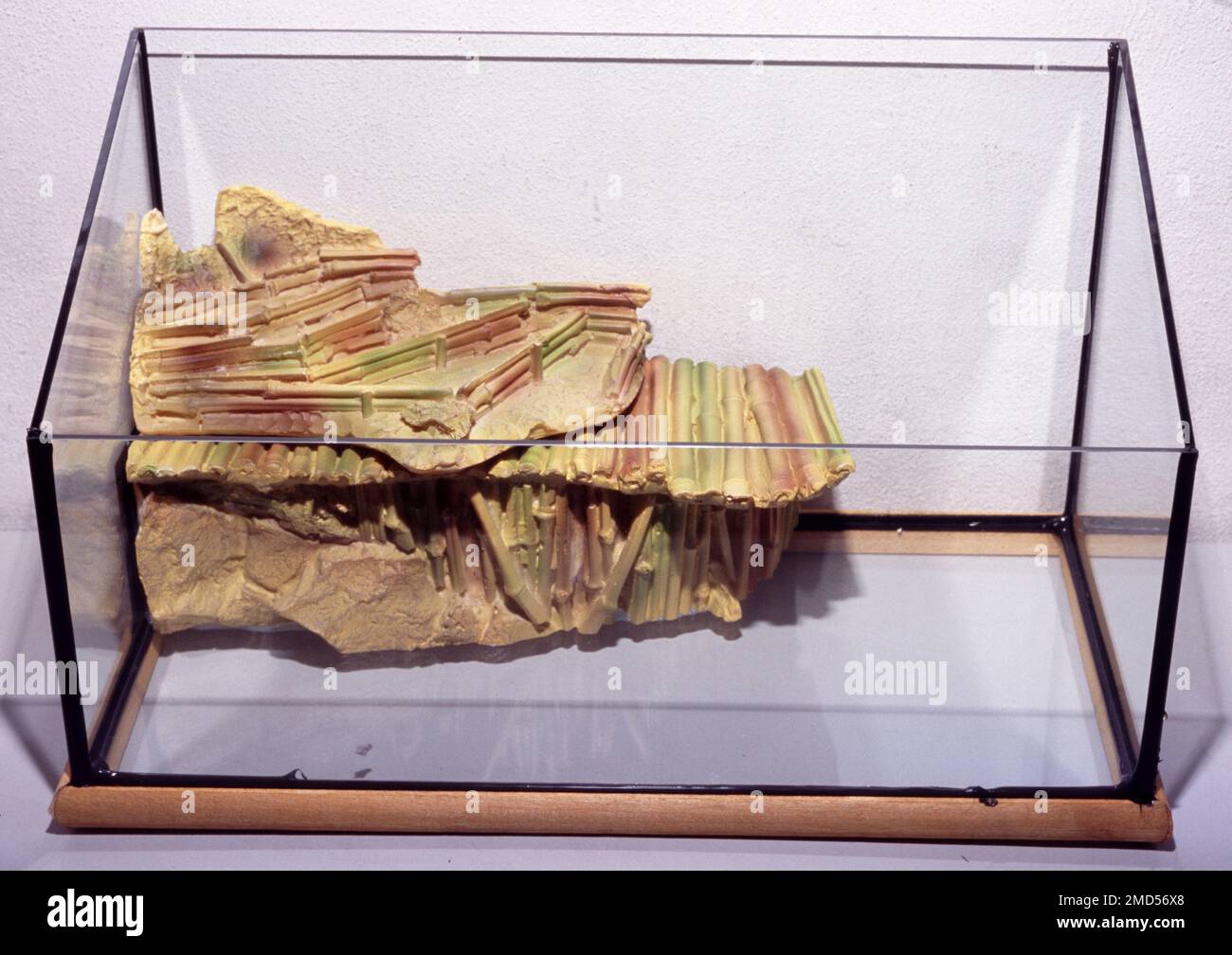 Aqua-terrarium for pond turtle (terrapin Stock Photo - Alamy