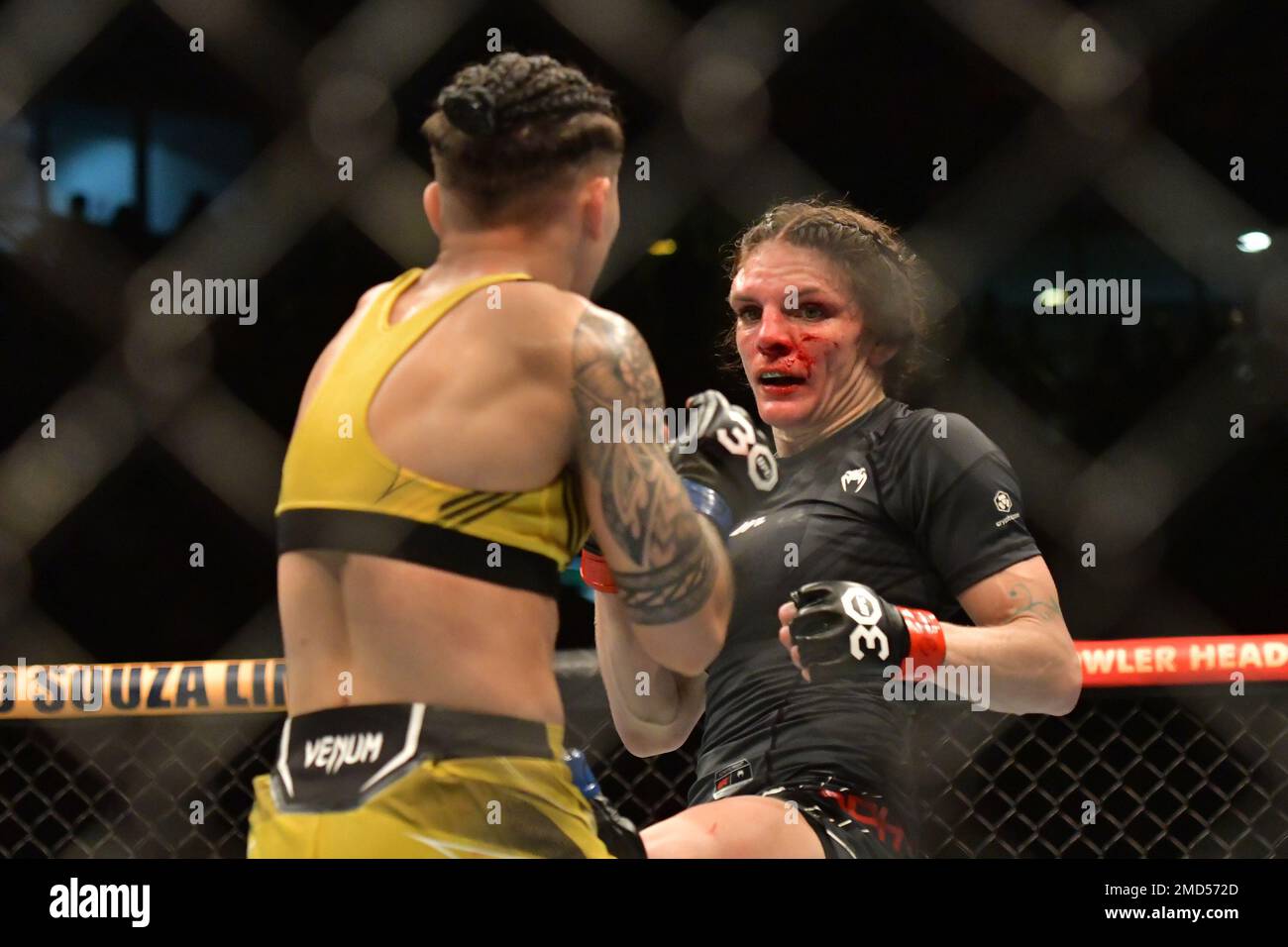 Leandro andrade hi-res stock photography and images - Alamy