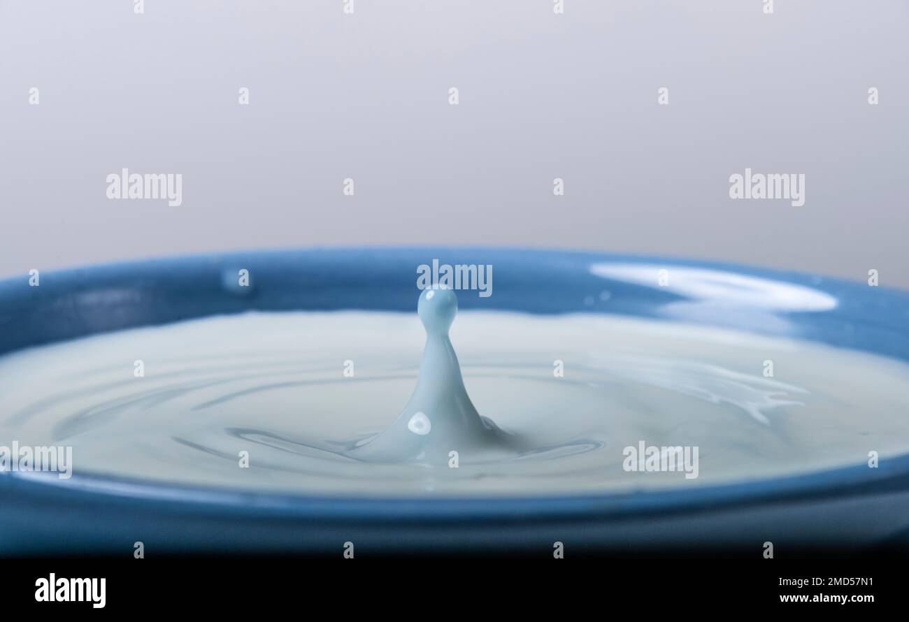 Color fresh blue milk drops into white milk in cup with light white ...