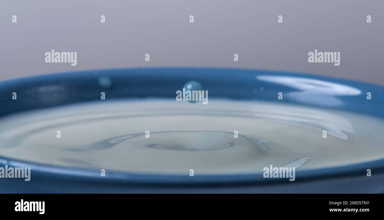 Color fresh blue milk drops into white milk in cup with light white ...