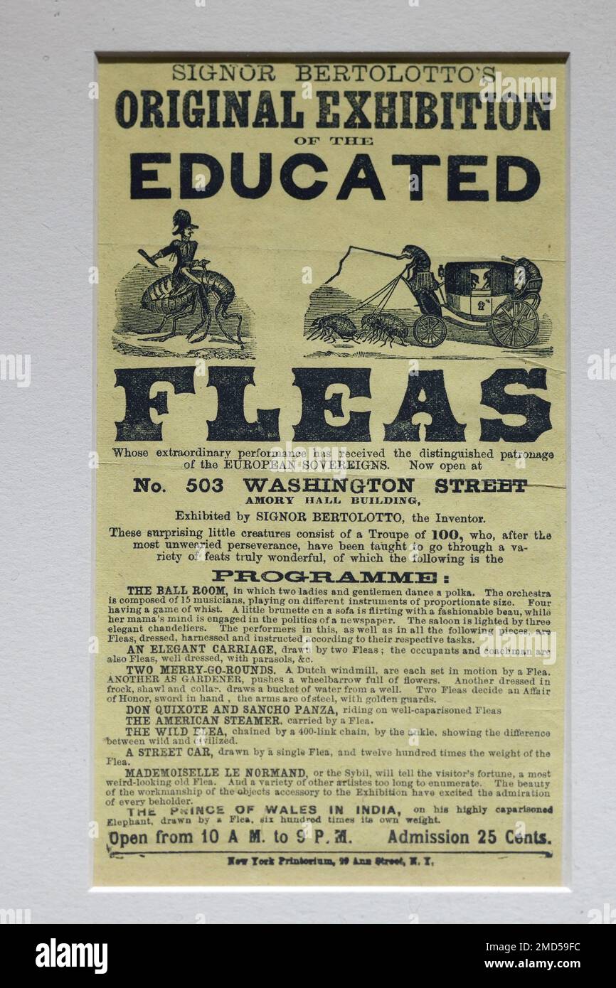 A poster featuring a flea circus, from the Ricky Jay Collection, is ...