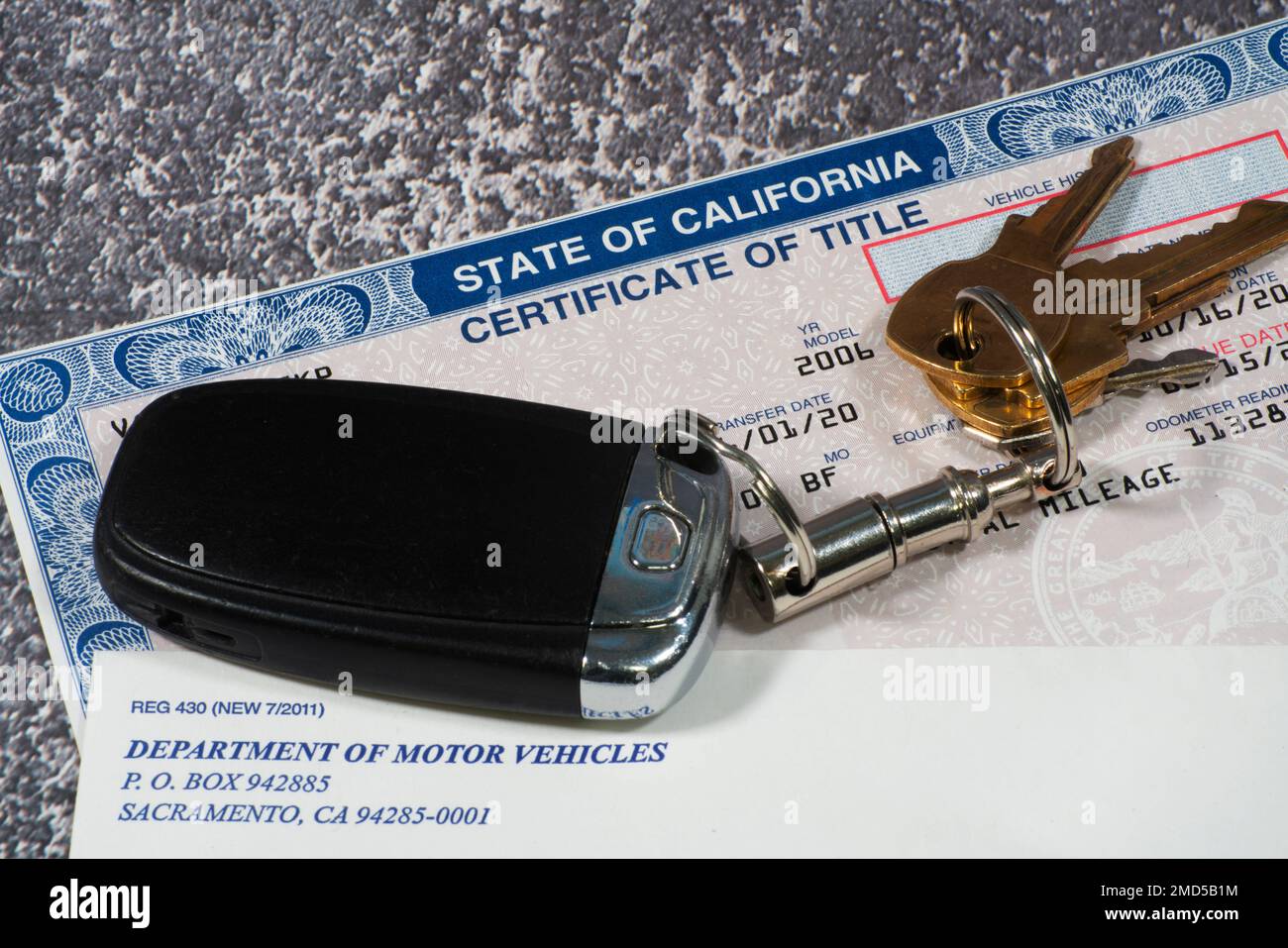 Lake Elsinore, California, USA- January 22, 2023: Close up of ...