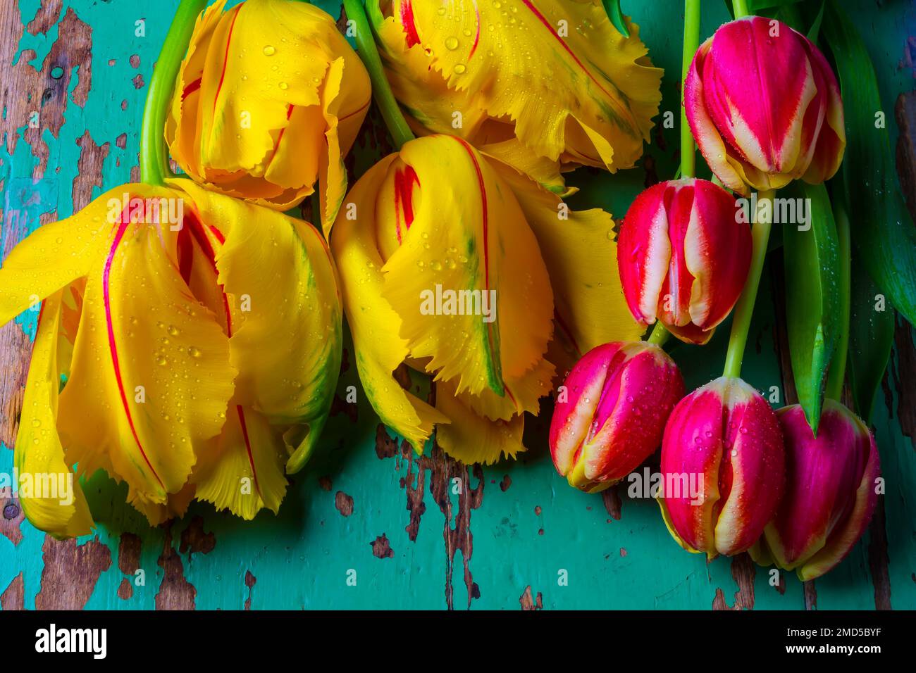 Wonderful textures hi-res stock photography and images - Alamy