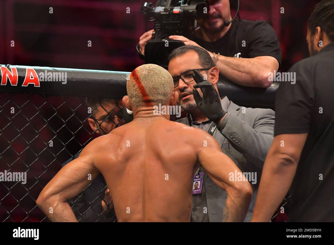 Mma fighting doctor hi-res stock photography and images - Alamy