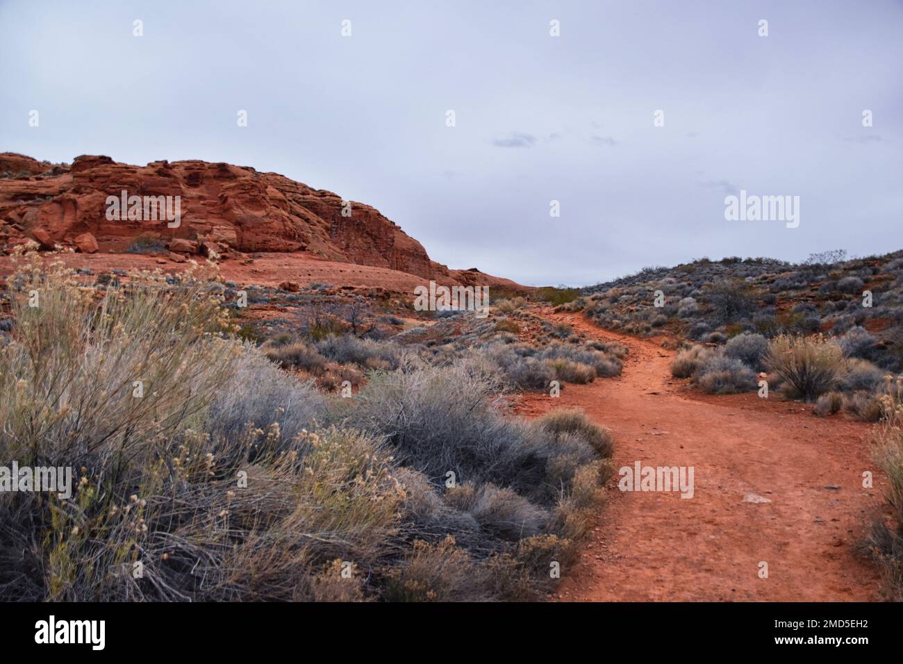 Turtle mountain conservation area hi-res stock photography and images ...