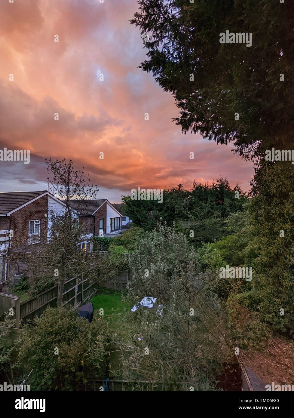 A high angle of a house backyard with lush greenery and colorful ...