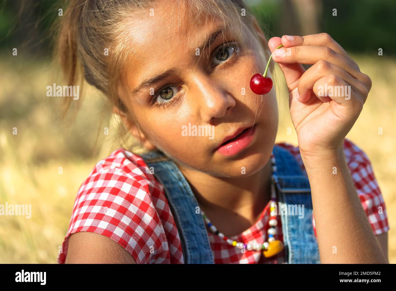 A little teenage girl holding a ripe red cherry in the fruit trees ...