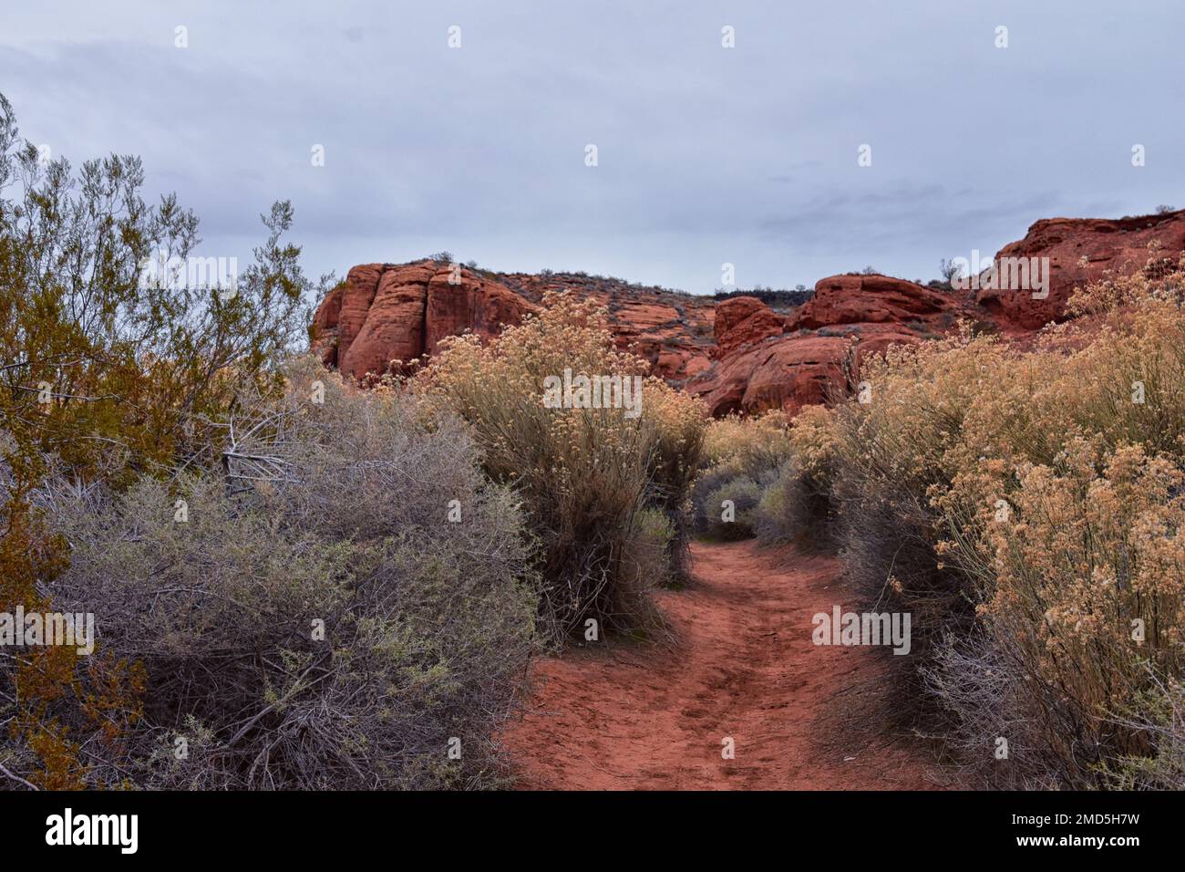 Turtle mountain conservation area hi-res stock photography and images ...