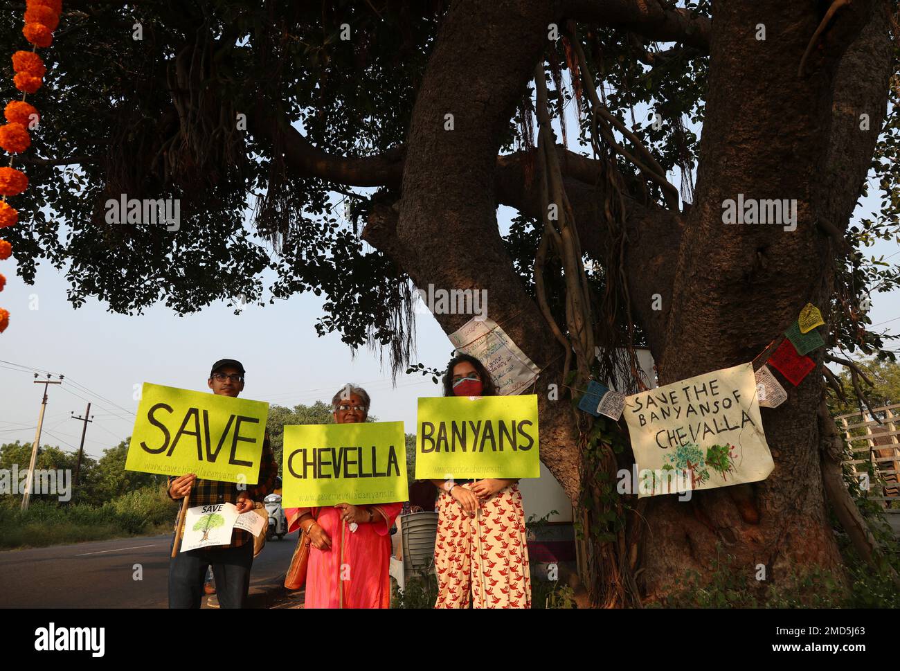 Tree lovers display placards as part of a campaign to save hundreds of ...