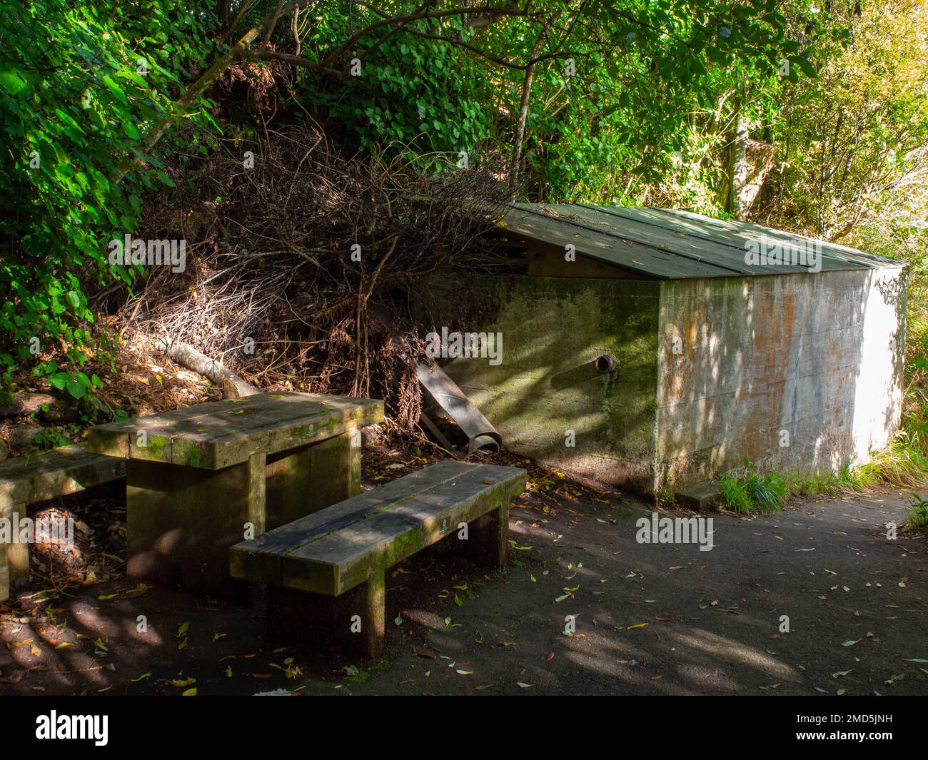 Bush Walk Seat Stock Photo - Alamy