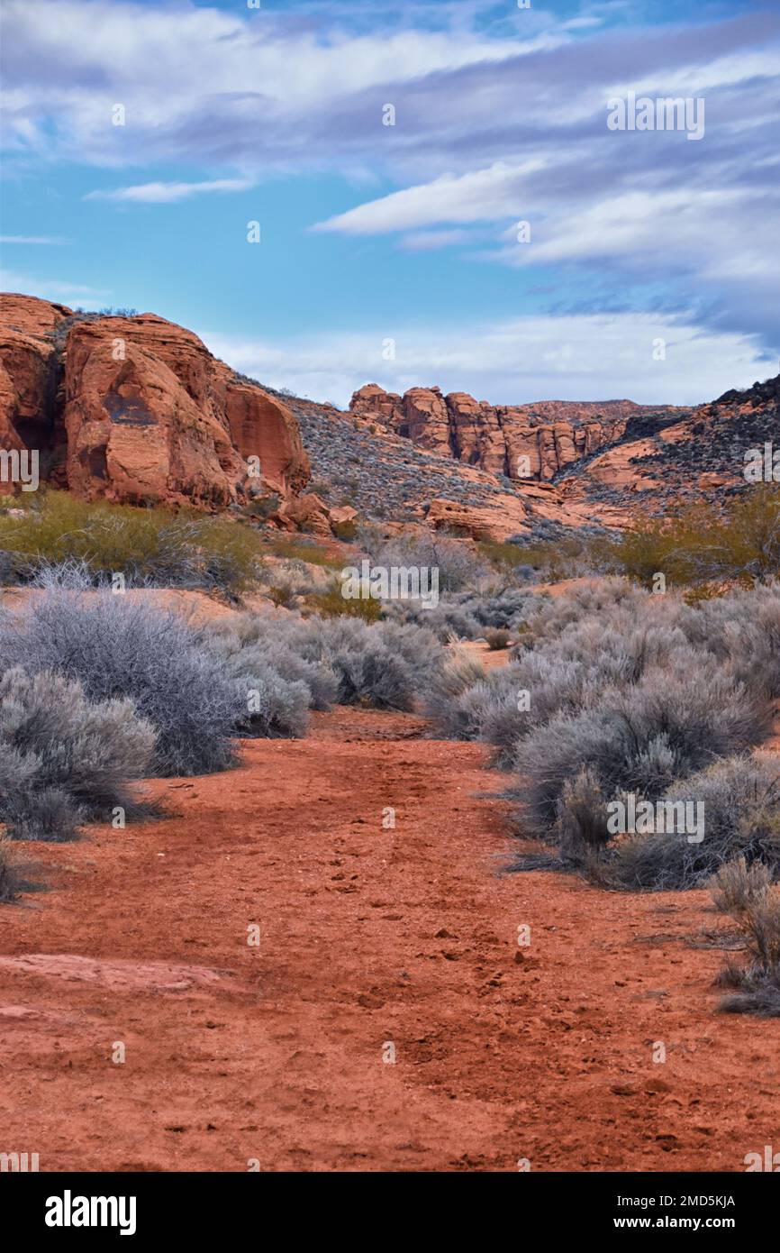 Chuckawalla and Turtle Wall trail desert hiking views Cliffs National ...