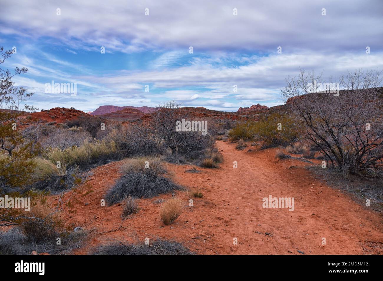 Turtle mountain conservation area hi-res stock photography and images ...