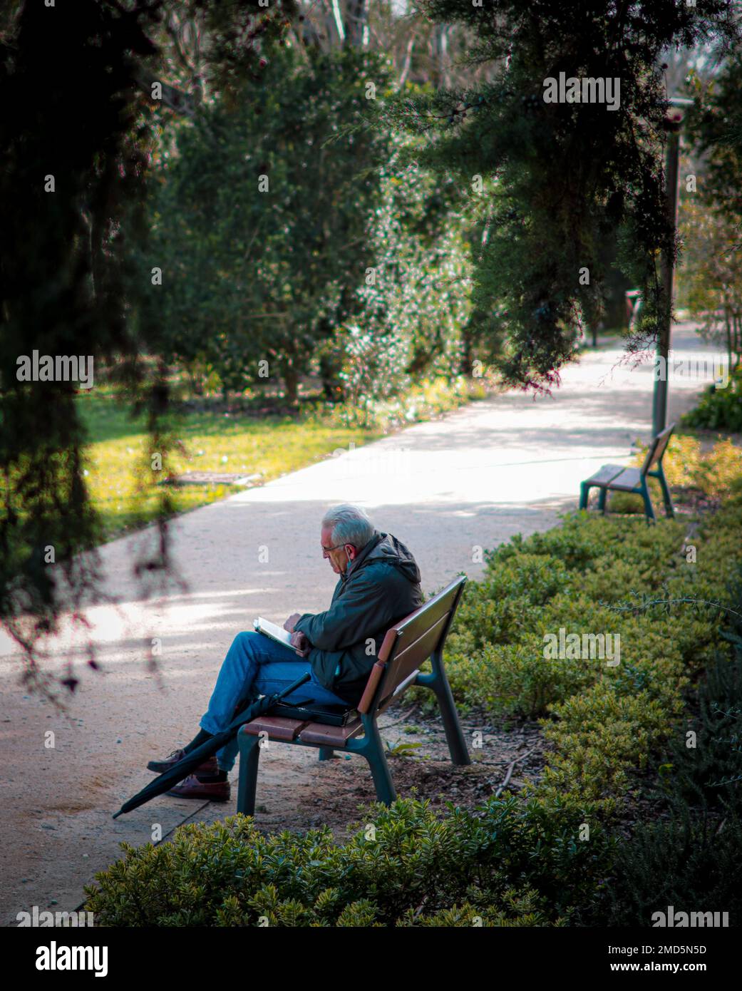 The man is reading a book at the park Stock Photo - Alamy
