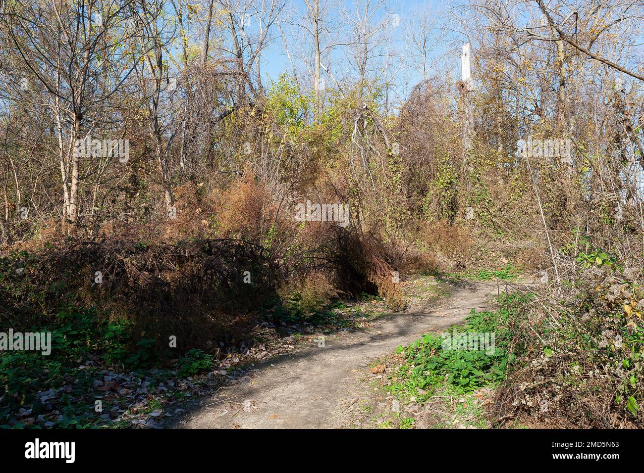 Landscape near the confluence of the Missouri and Mississippi rivers ...