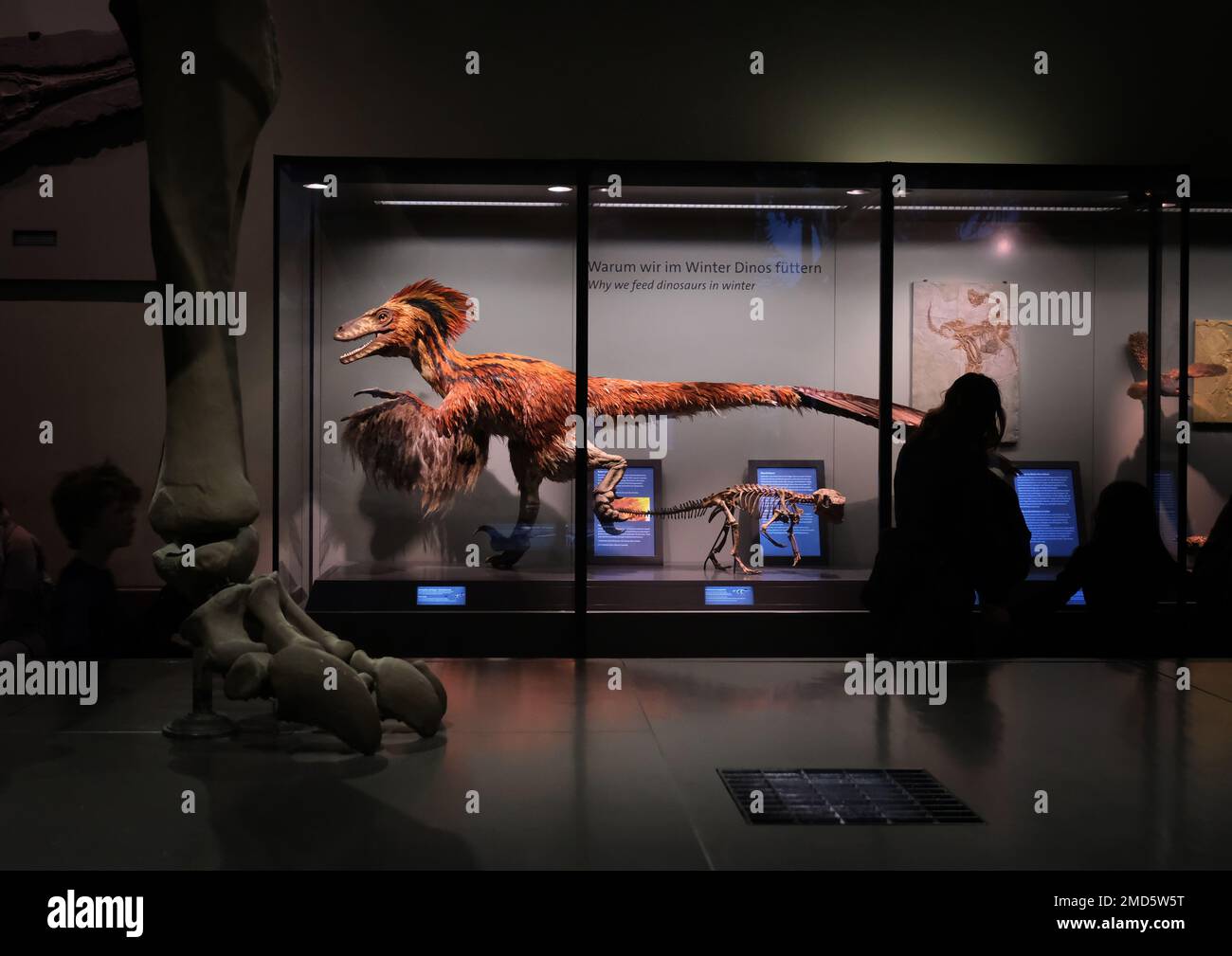Vienna, Austria, Dec. 2019: The Museum of Natural History ...