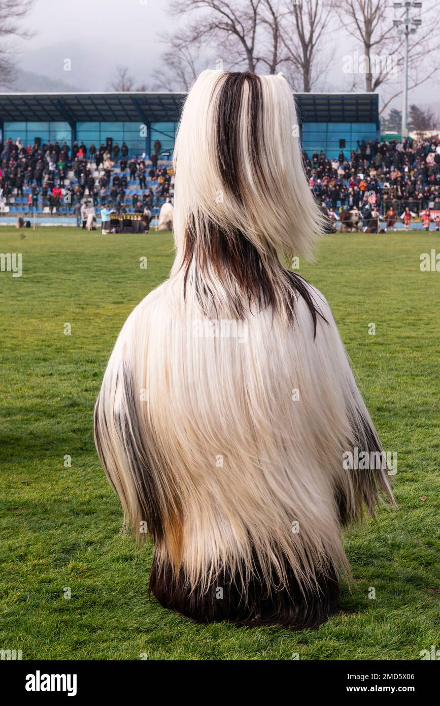 Simitlia hi-res stock photography and images - Alamy