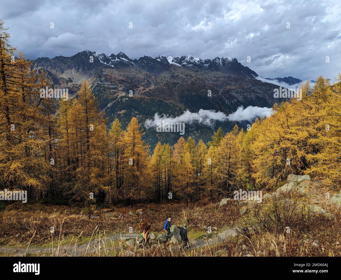 An aerial, high angle of hikers walking down a forest path surrounded ...