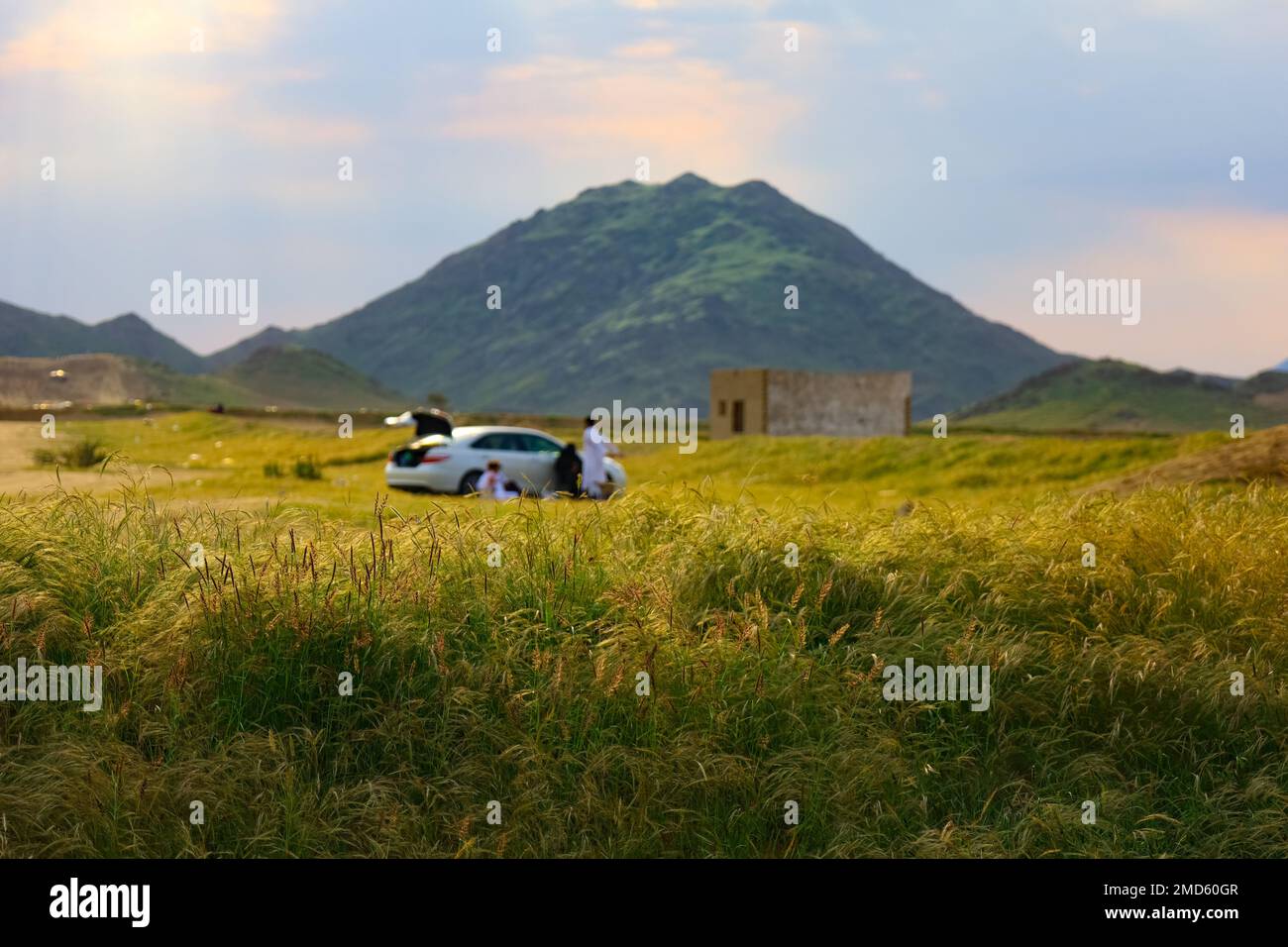 Mecca , Saudi Arabia , 13 Jan 2023: Makkah Spring after raining season ...