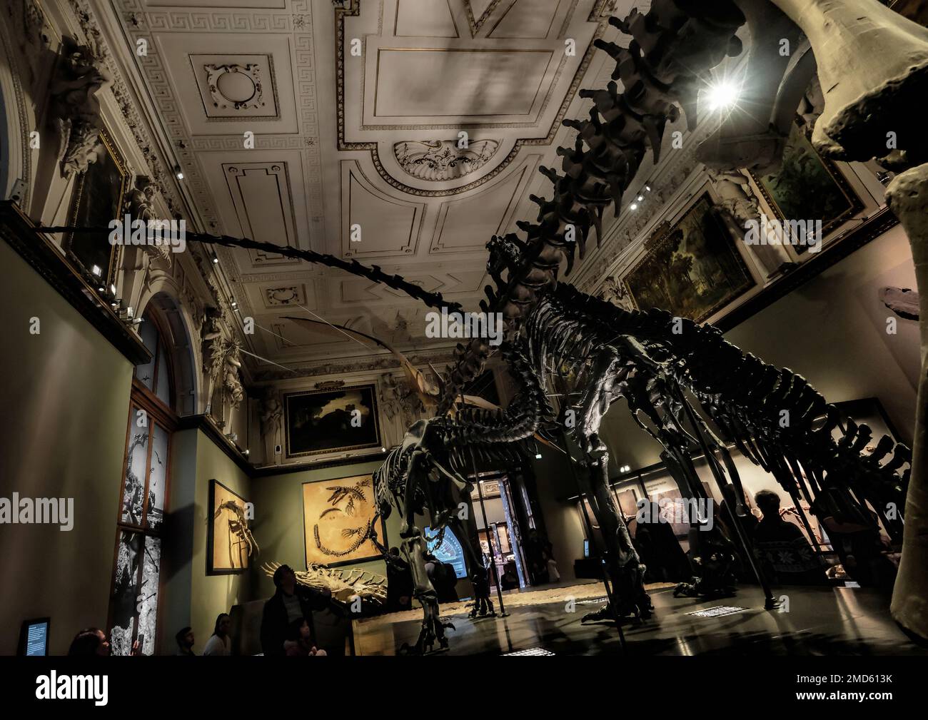 Vienna, Austria, Dec. 2019: Dinosaur fossils collection exhibiton hall ...
