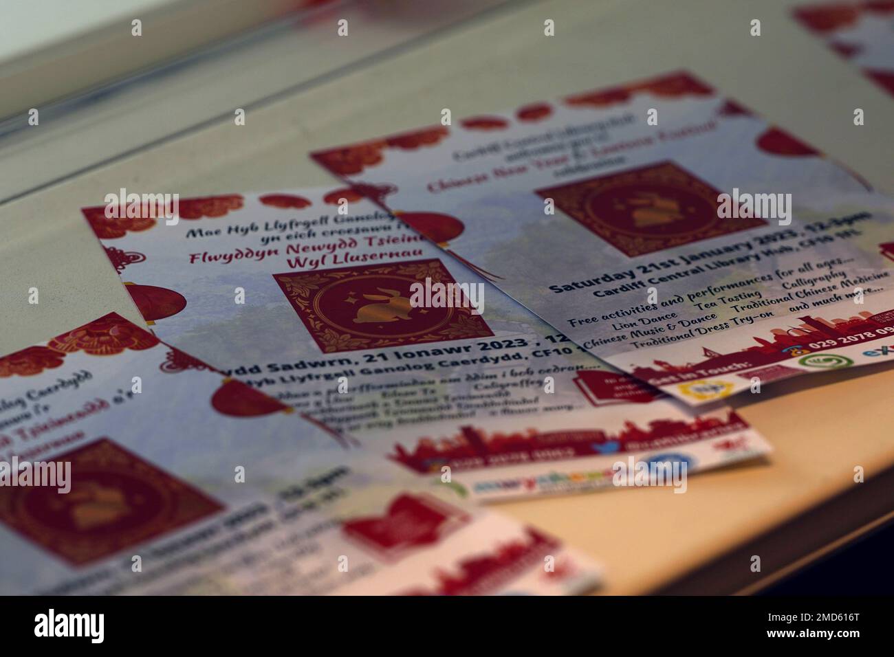 Advertising the Chinese New Year and Lantern Festival Celebrations at ...