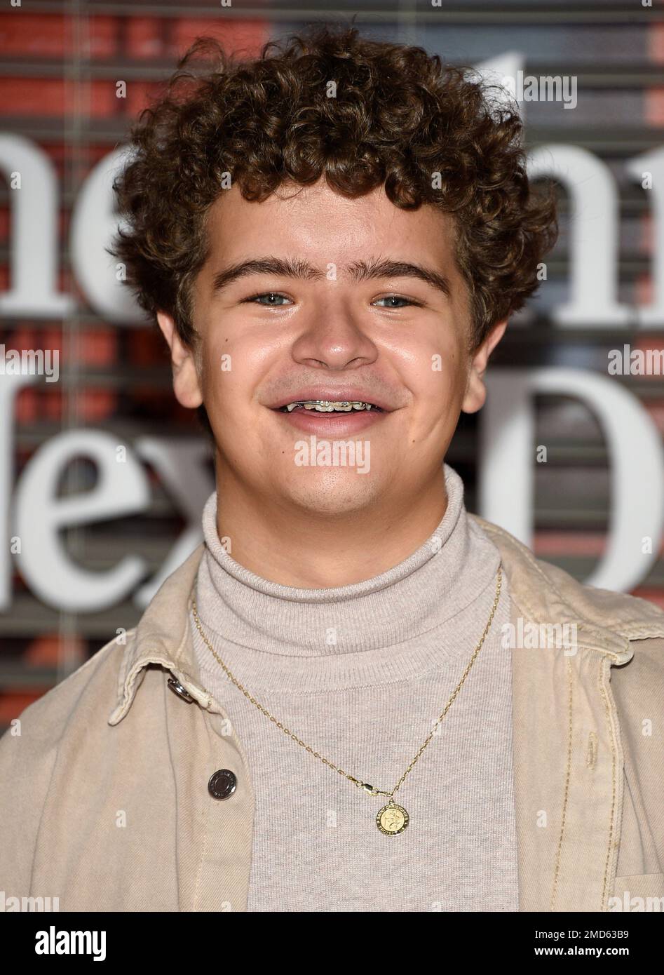 Gaten Matarazzo attends the premiere of Apple TV's "The Shrink Next ...