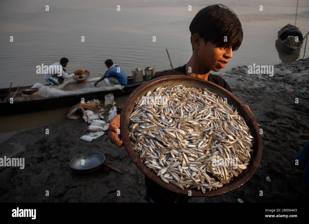 A fisherman carries fish collected in a bamboo container for sale, in ...
