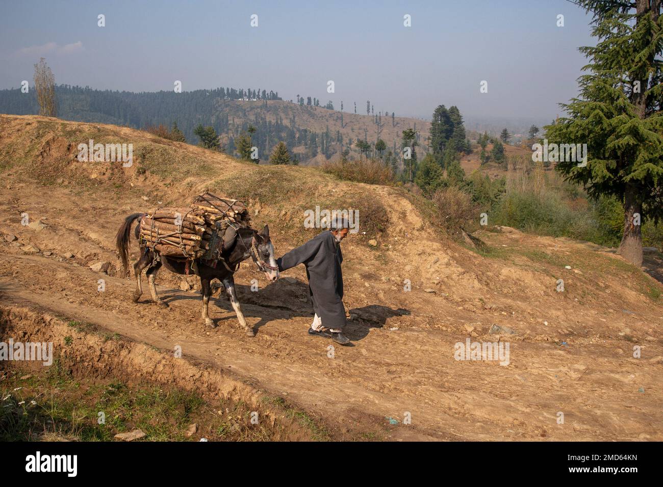 Kashmiri villager Mohammad Maqbool walks along with his horse carrying ...
