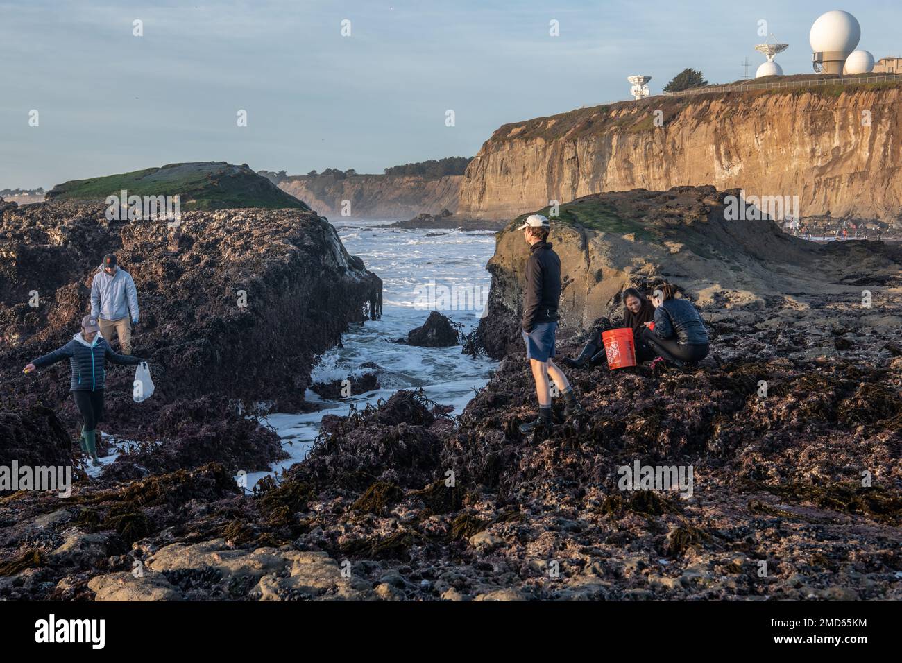 Pillar point bluff in the San Francisco bay area of California is a popular spot for tidepooling ...
