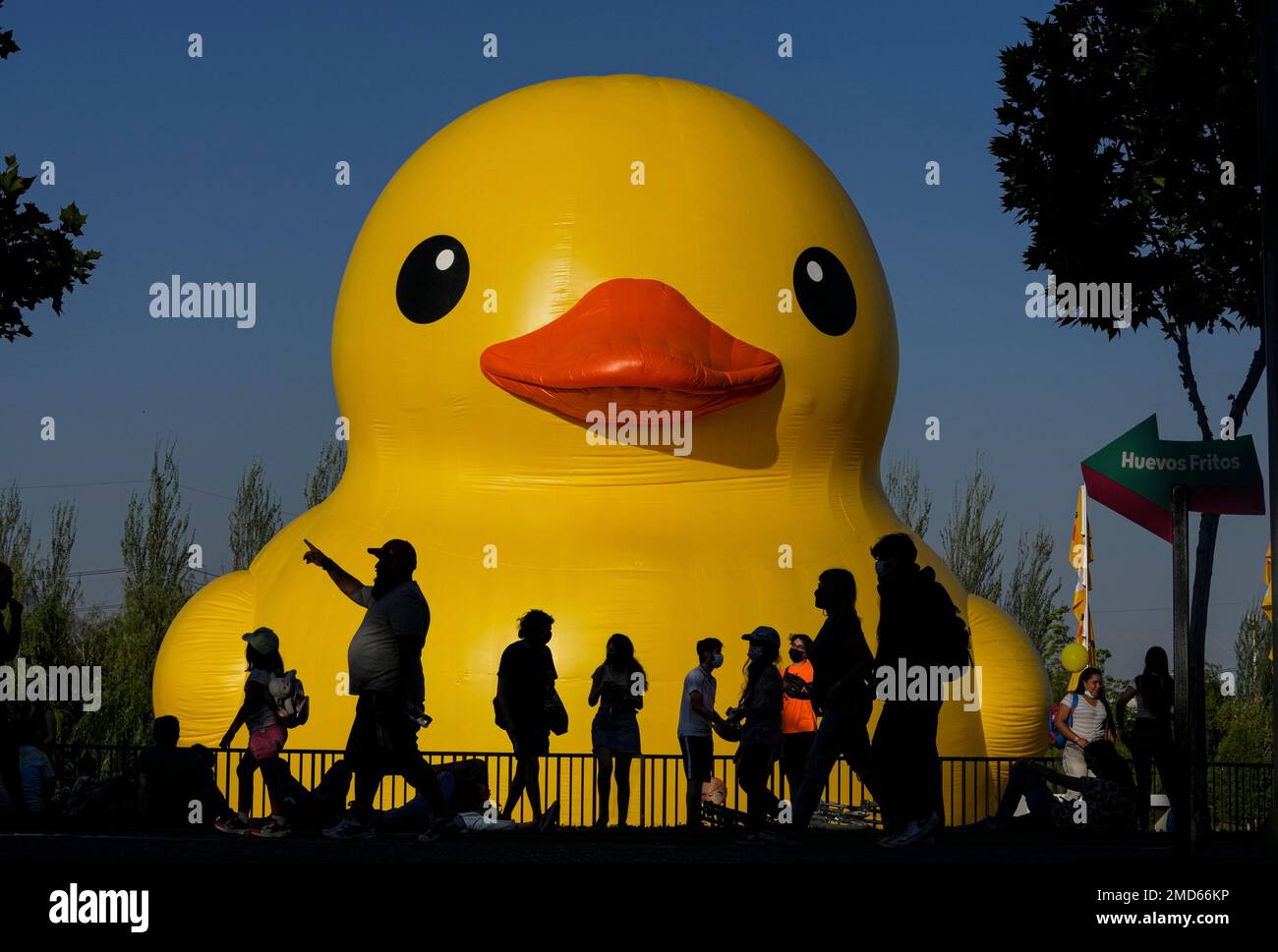 Visitors are silhouetted against a giant inflatable rubber duck ...