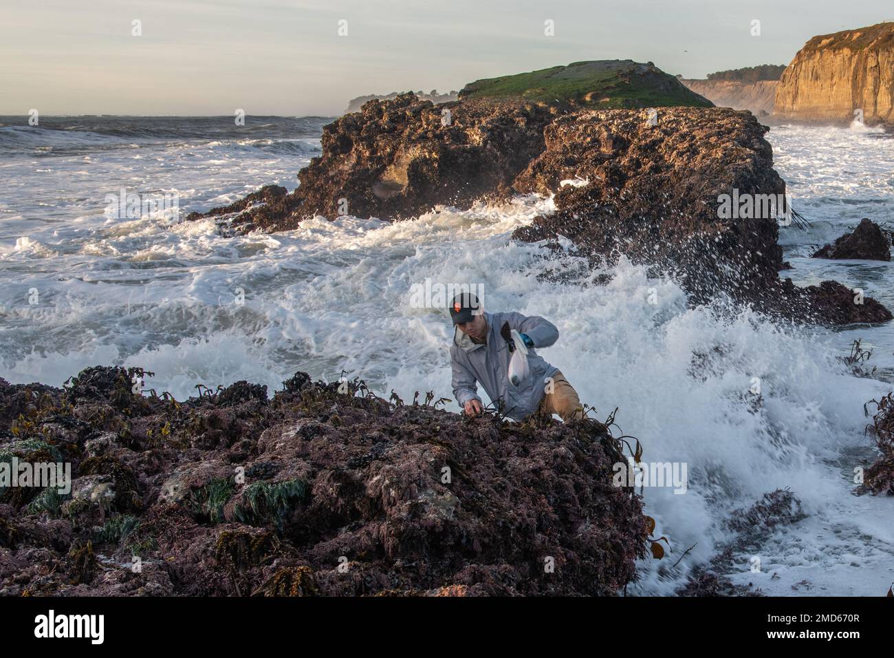 Pillar point bluff in the San Francisco bay area of California is a ...
