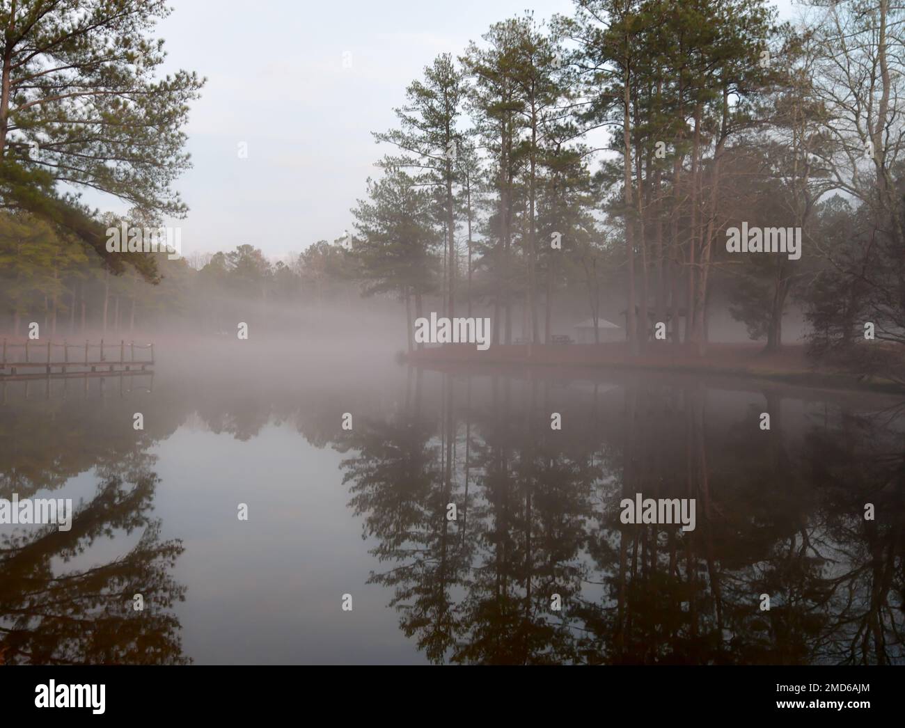 Morning fog rolling across the calm pond water Stock Photo - Alamy