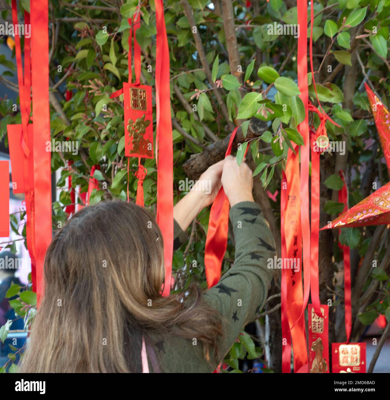 Irvine, CA, USA. 17th Jan, 2023. A guest ties a ribbon on one of two ...