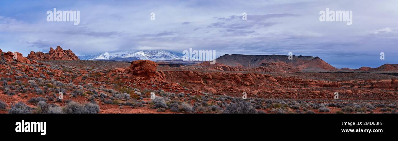 Chuckawalla and Turtle Wall landscape views from trail Cliffs National ...