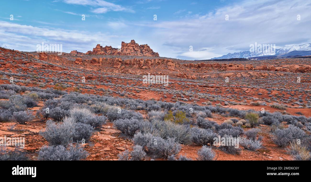 Chuckawalla and Turtle Wall landscape views from trail Cliffs National ...