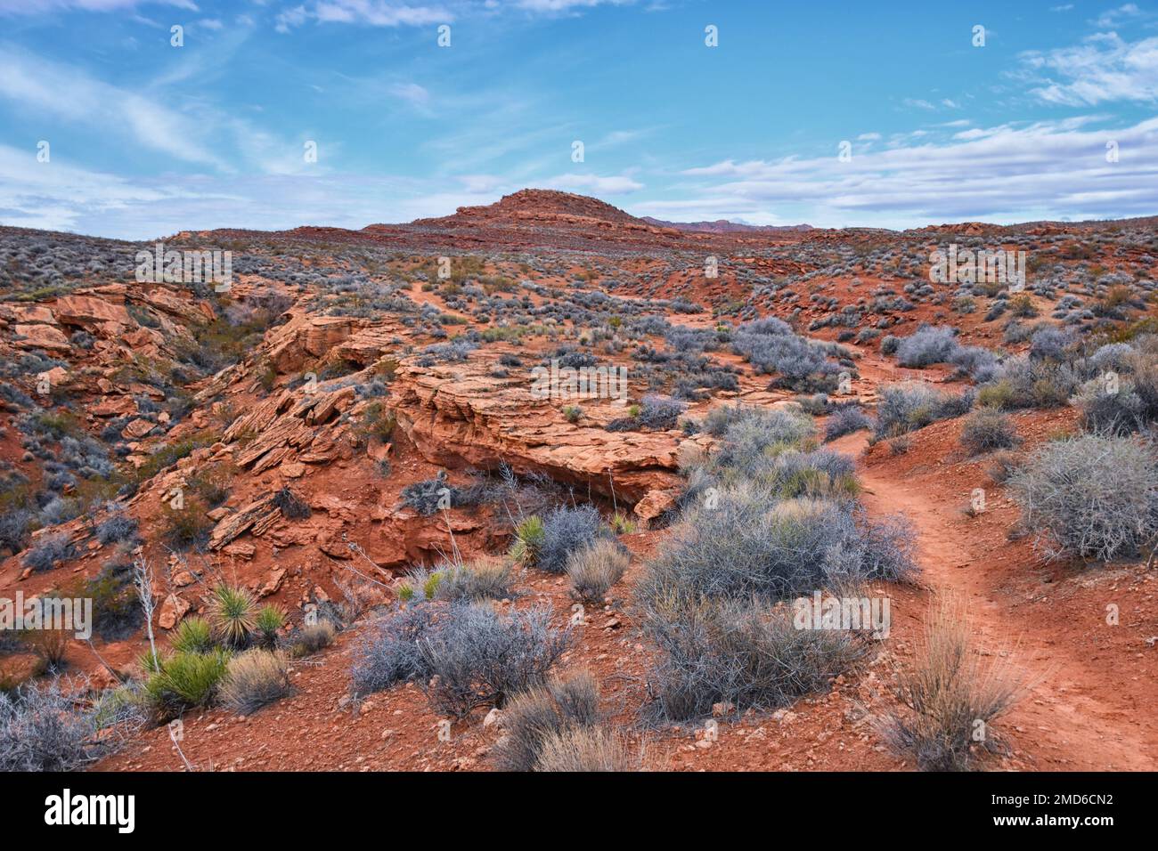 Chuckawalla and Turtle Wall landscape views from trail Cliffs National ...