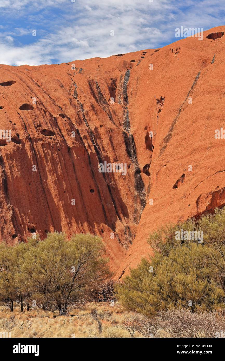 431 Huge-rounded-erosional valley seen from the base walk around Uluru-Ayers Rock. NT-Australia ...