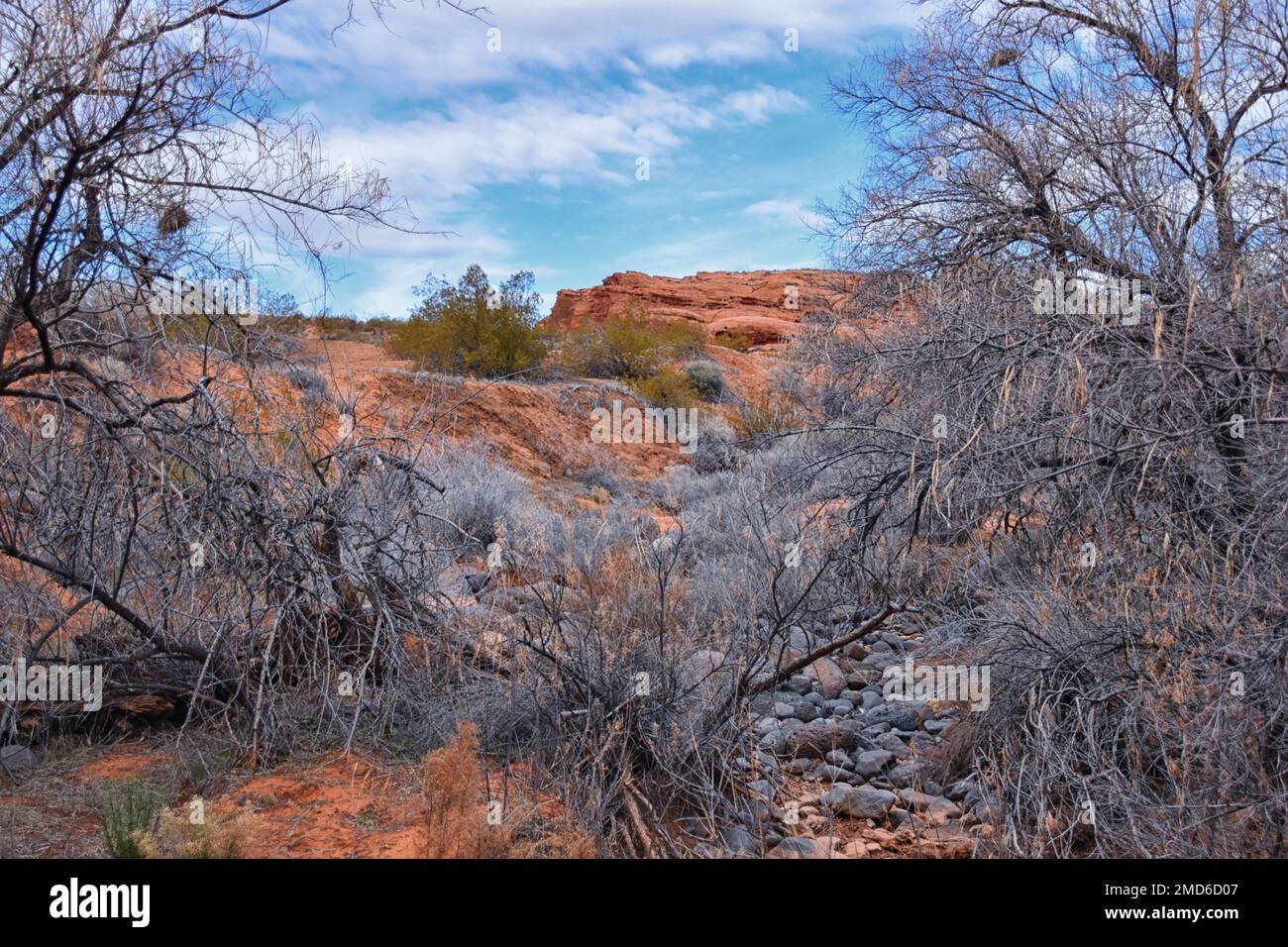 Chuckawalla and Turtle Wall landscape views from trail Cliffs National ...