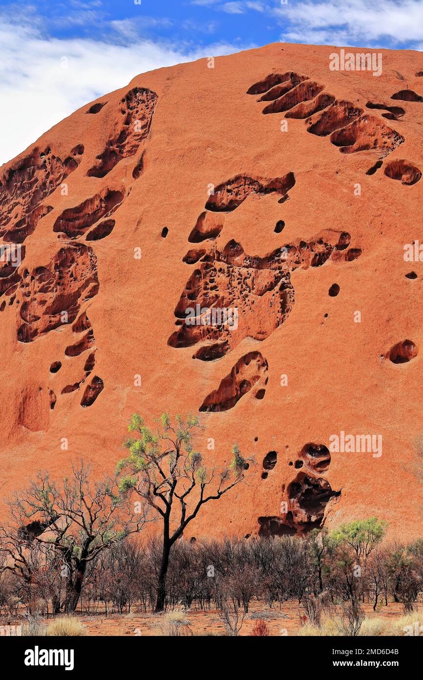 435 Sets of holes forming mysterious patterns and drawings on Uluru ...