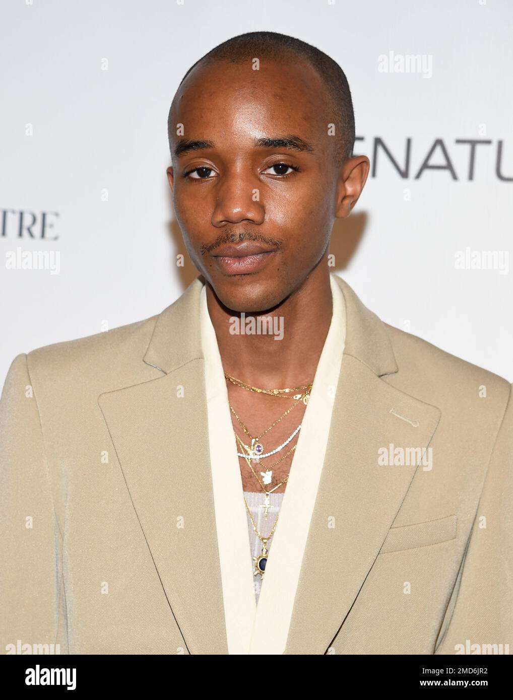 Artist Quil Lemons attends the American Ballet Theatre's Fall Gala at ...