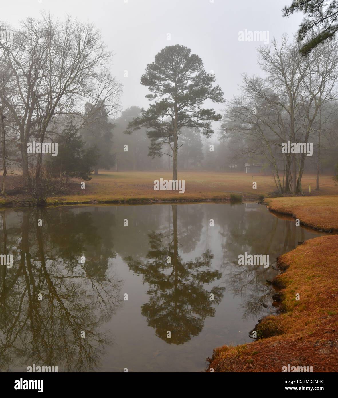 Morning fog rolling across the calm pond water Stock Photo - Alamy