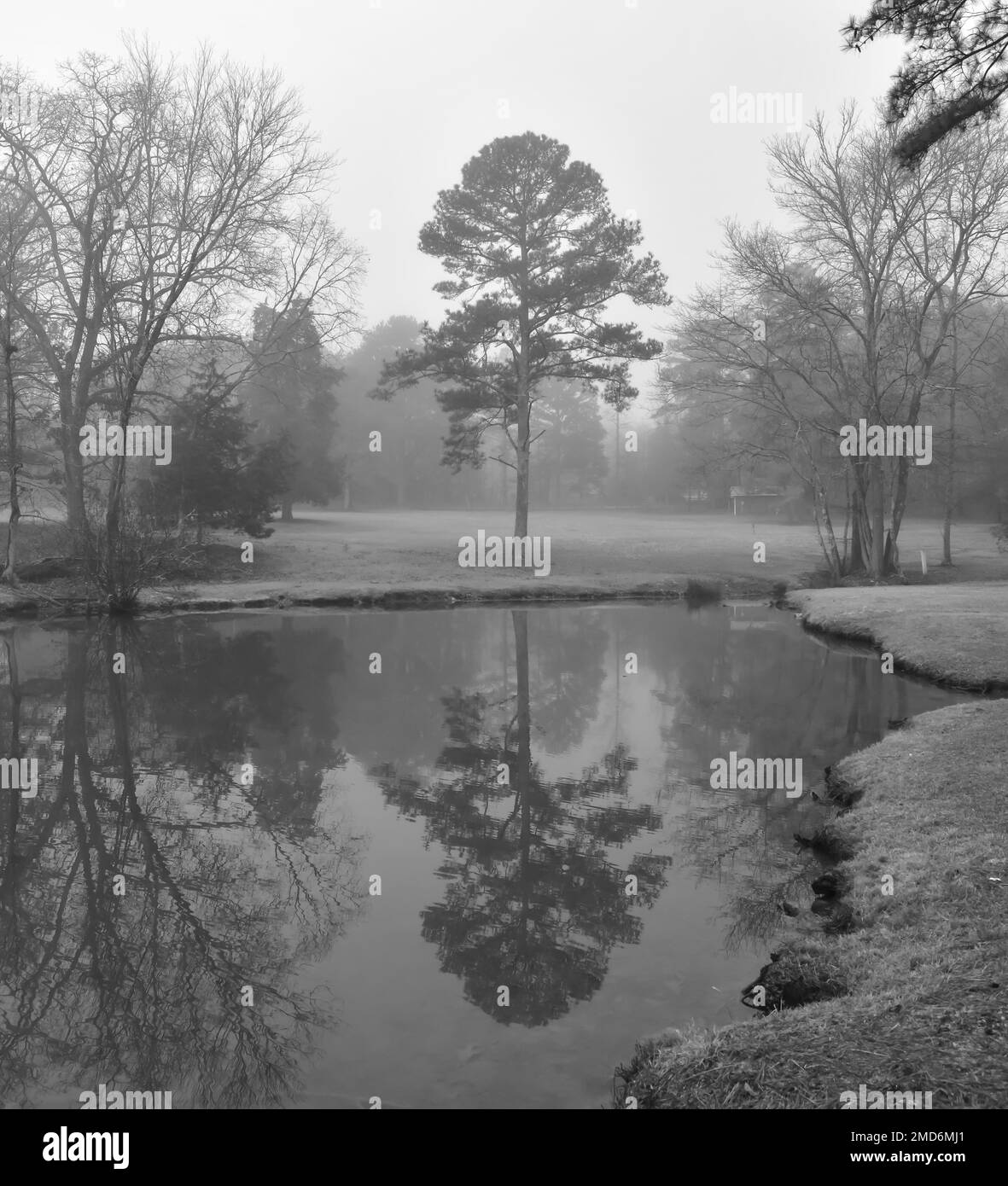 Morning fog rolling across the calm pond water Stock Photo - Alamy