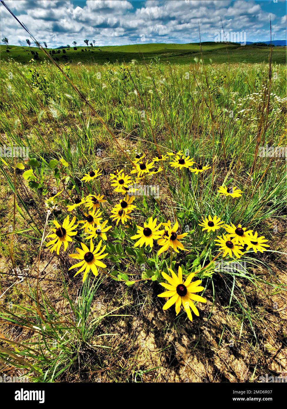Members of the Natural Resources Foundation of Wisconsin participate in ...
