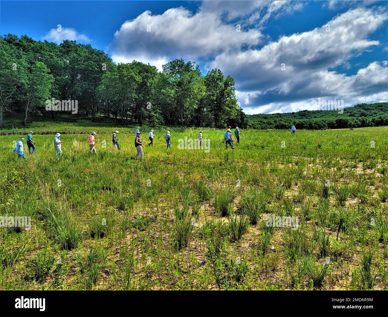 Members of the Natural Resources Foundation of Wisconsin participate in ...