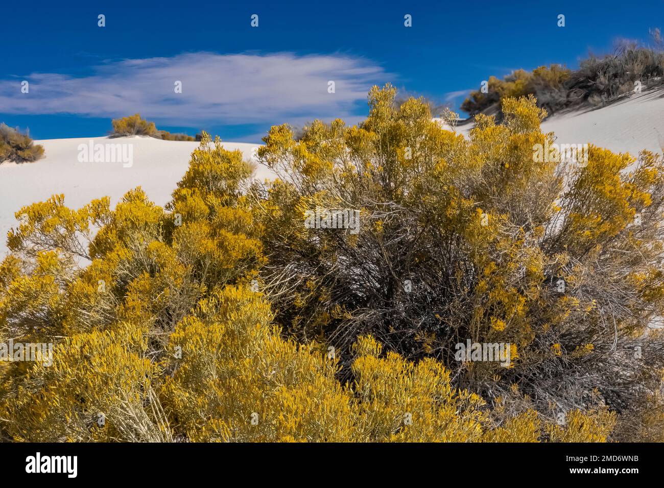White Sands National Park, New Mexico, USA Stock Photo - Alamy