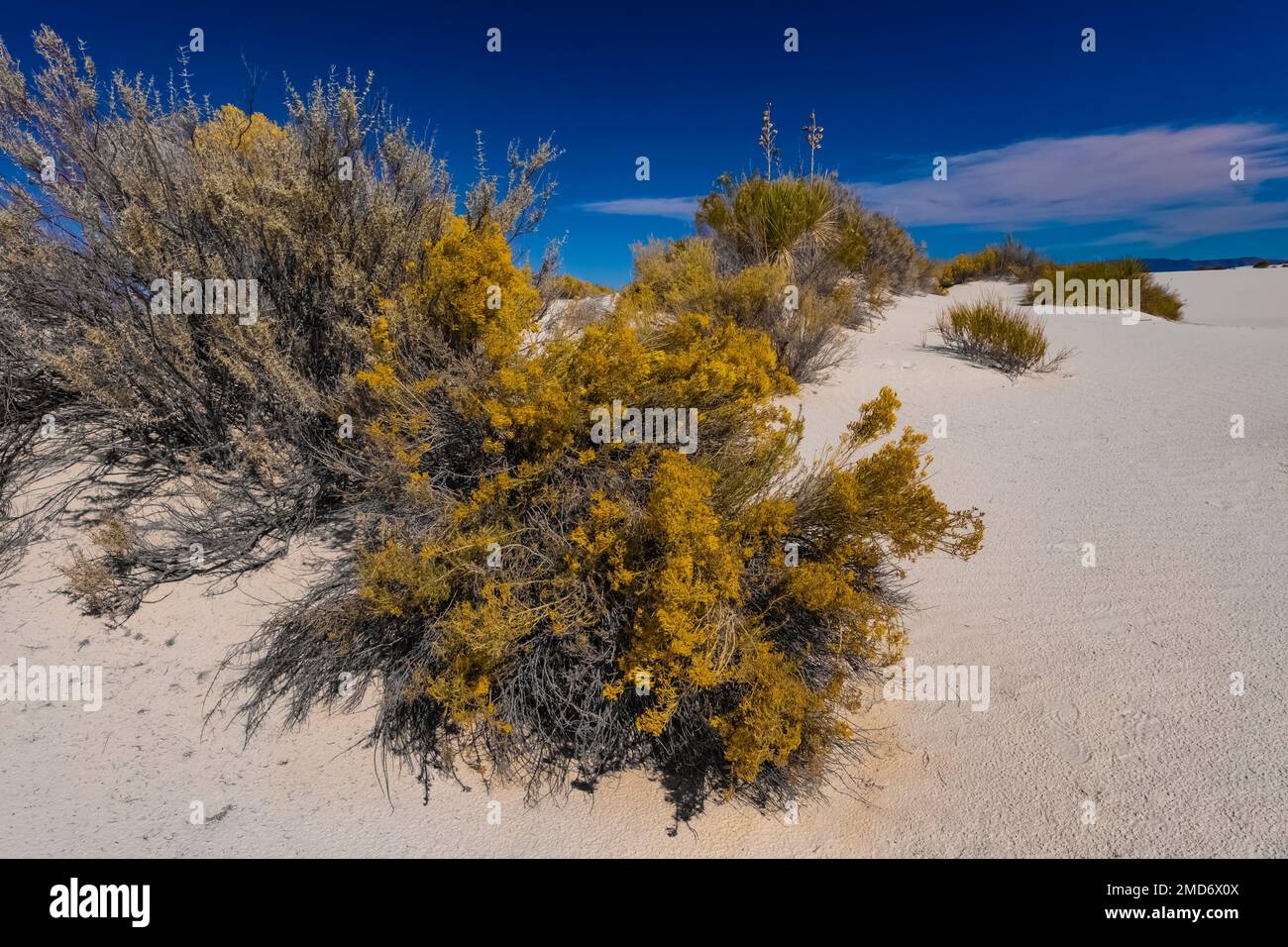White Sands National Park, New Mexico, USA Stock Photo - Alamy