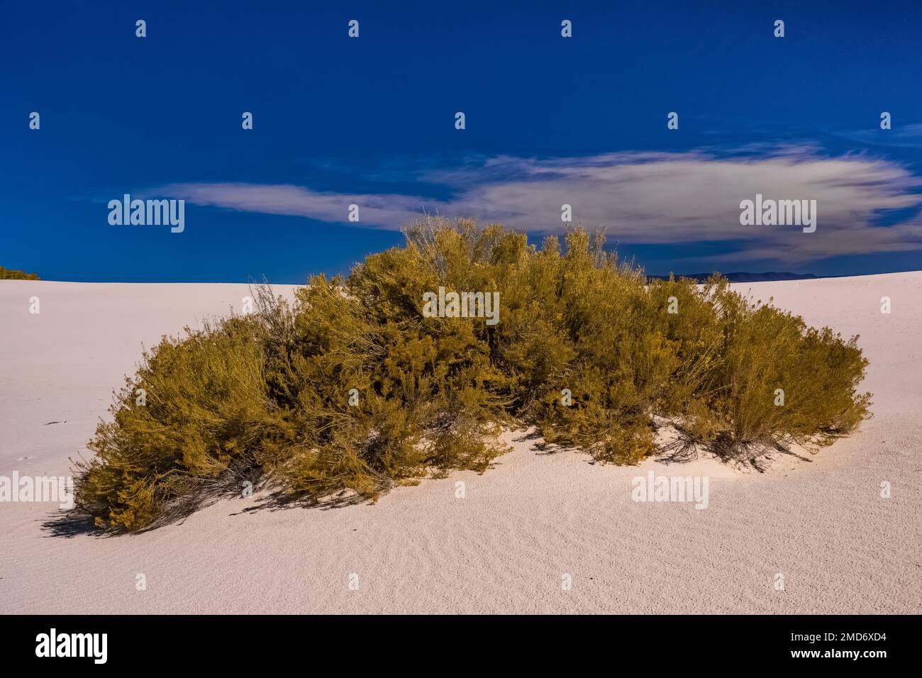White Sands National Park, New Mexico, USA Stock Photo - Alamy