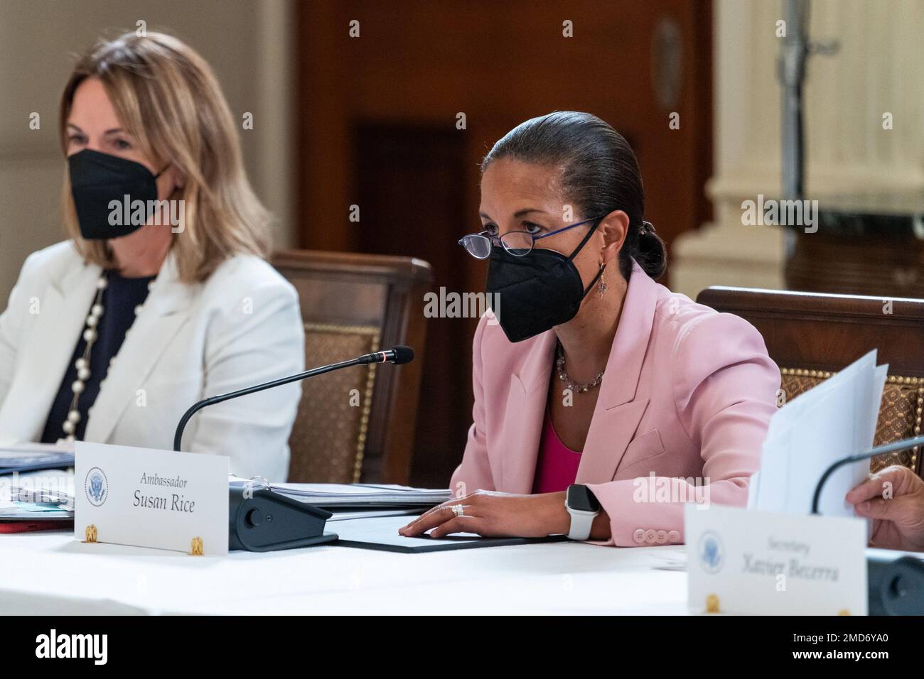 Director of the domestic policy council hi-res stock photography and ...