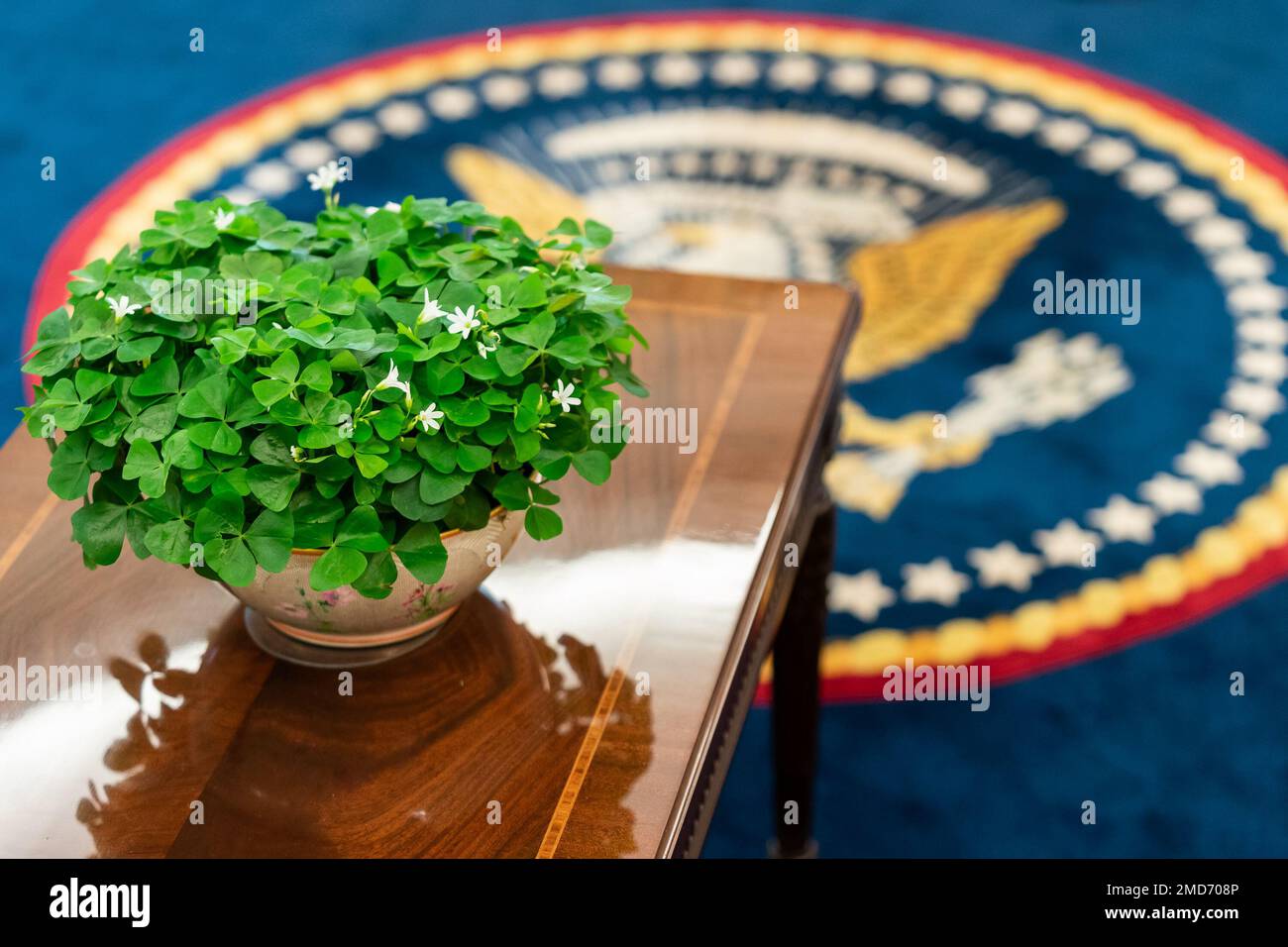 Reportage: A bowl of shamrock sits on the coffee table in the Oval ...