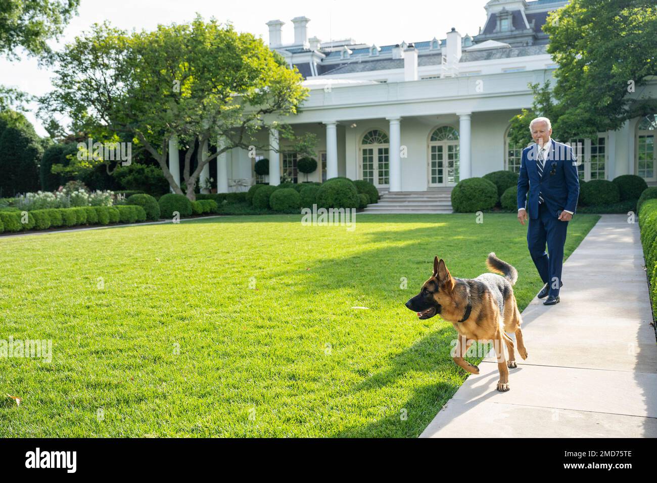 Biden walks with his dog commander hi-res stock photography and images ...