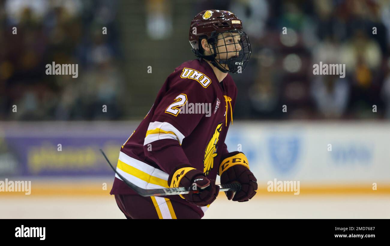 Minnesota Duluth defenseman Darian Gotz (2) during an NCAA hockey game ...
